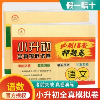 小升初全真模拟试卷必刷18套押题卷语文数学英语全套人教版初中六年级下册毕业名校冲刺真题练习总复习 语文+数学
