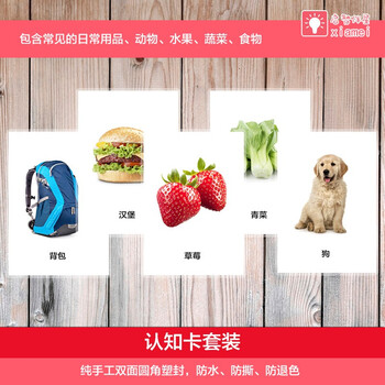 认知套装卡片 自闭症训练卡片 孤独症儿童ABA教具 语言发育迟缓 5寸塑封食物30张