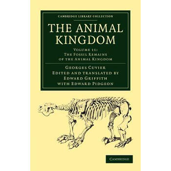 The Animal Kingdom - Volume 11