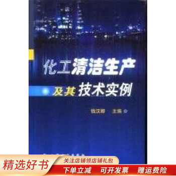 化工清洁生产及其技术实例 钱汉卿