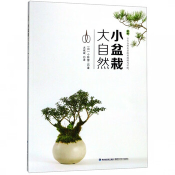 小盆栽大自然