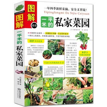 正版 图解一平米的私家菜园 蔬菜种植技术室内室外西红柿黄瓜茄子青菜辣椒草莓阳台露台阳台庭院顶楼 种菜