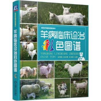 羊病临床诊治彩色图谱 9787111538387