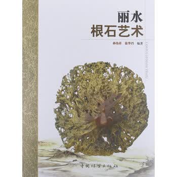 丽水根石艺术