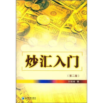 炒汇入门（第2版） 王祖建