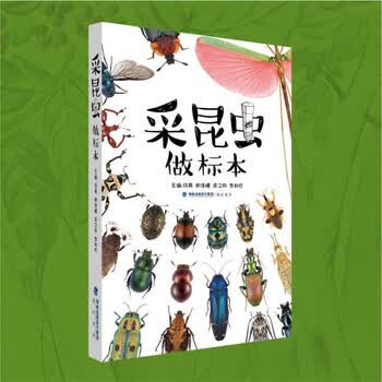 采昆虫做标本 中国大百科全书 科普儿童课外读物汤亮图实践画册 海峡书局