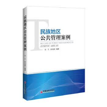 民族地区公共管理案例