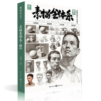 素描全体系.照片