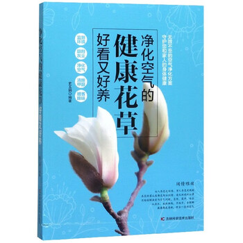 净化空气的健康花草好看又好养