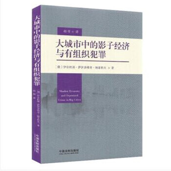 大城市中的影子经济与有组织犯罪【正版图书】