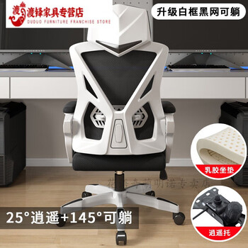 画极（HUAJI） 电竞椅子太空仓 游戏座椅太空舱太空舱电脑椅一体电脑椅家用办公 【145°可躺+20°逍遥】白框黑网 尼龙脚 旋转升降扶手 ...