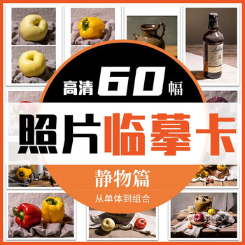 临摹卡静物照片 美术绘画写生参考素材图片美术培训教学60幅唯美文艺小清新精美卡片创意礼物原创作品学习卡片