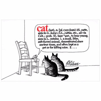 现货Cat 喵喵妙 英文原版心灵治愈漫画书籍