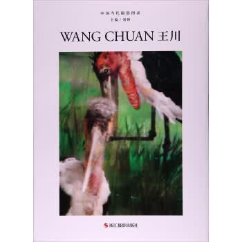 王川-中国当代摄影图录