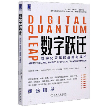 数字跃迁(数字化变革的战略与战术)