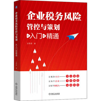 企业税务风险管控与策划 从入门到精通