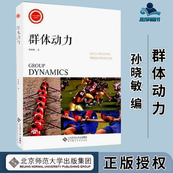 包邮 群体动力 孙晓敏 北京师范大学出版社 工业与组织心理学 群体心理机制