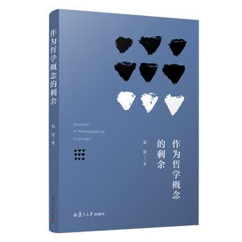 作为哲学概念的剩余