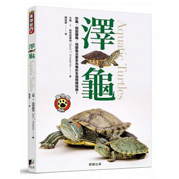 台版 泽龟 乌龟物种介绍饲育攻略繁殖喂养方式生物百科大全