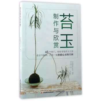 苔玉制作与欣赏