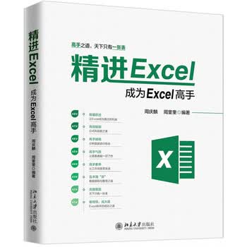 精进Excel(成为Excel高手)
