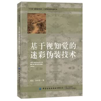 基于视知觉的迷彩伪装技术