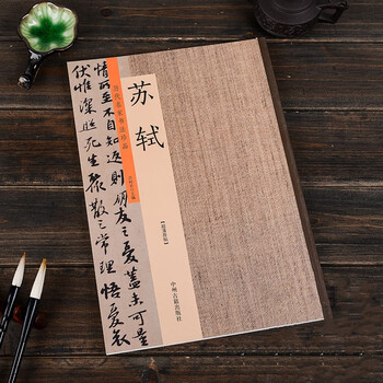 历代名家书法珍品 苏轼书法全集精选 苏东坡书法 黄州寒食帖 赤壁赋 归去来辞 金刚经 楷行书书法碑帖