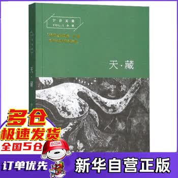 天藏(当代文坛刺客宁肯创作40周年纪念版)/宁肯文集