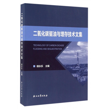 二氧化碳驱油与埋存技术文集