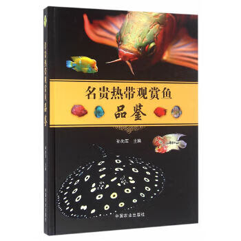 名贵热带观赏鱼品鉴