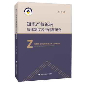 知识产权诉讼法律制度若干问题研究