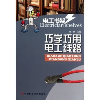 巧学巧用电工线路/电工书架