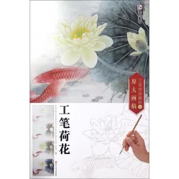 工笔荷花/工笔技法解析与原大画稿