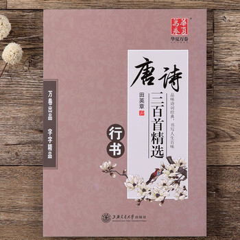 唐诗三百首行书钢笔字帖 田英章行书字帖 古诗词精选文字帖硬笔书法字帖行书成人学生临摹练字帖 华夏万卷