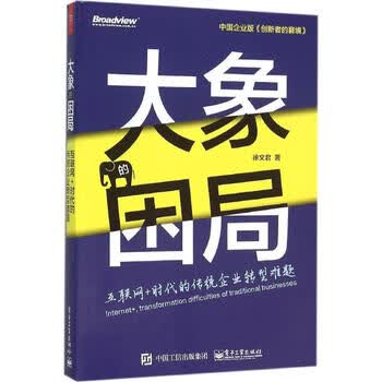 大象的困局 徐文君 著 著 经济理论、法规