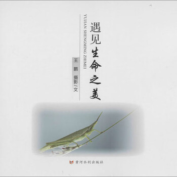 遇见生命之美