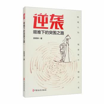 逆袭：艰难下的突围之路