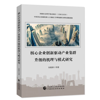 核心企业创新驱动产业集群升级的机理与模式研究
