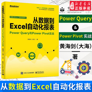 正版 从数据到Excel自动化报表：Power Query和Power Pivot实战 商业智能数据