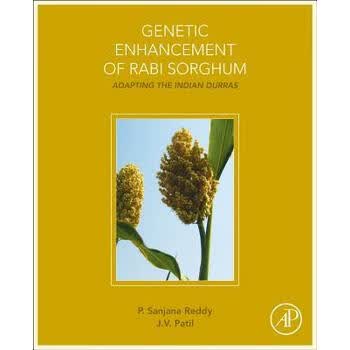 Genetic Enhancement of Rabi Sorghum: Adapting t