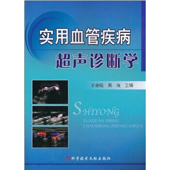 实用血管疾病超声诊断学 王金锐,勇强 著【正版书】