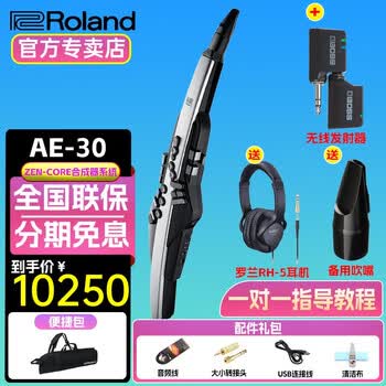 罗兰（Roland）电吹管AE20 ae30乐器自带音源扬声器老年成人初学者电子萨克斯 AE30+WL20L 无线发射器【图片 价格 品牌 ...