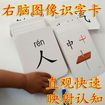 【老师推荐】幼早教启蒙 直映识字卡片 左右脑看图画认字卡片生汉字卡 超大卡 大号/全套六册
