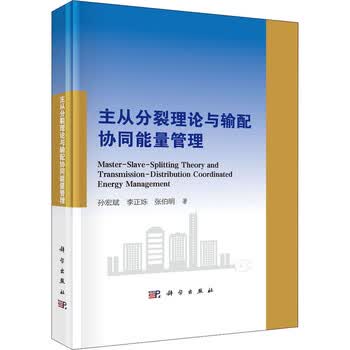 主从分裂理论与输配协同能量管理