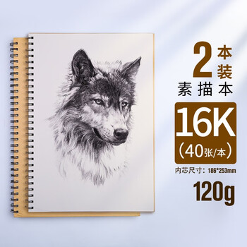 2本素描本A4美术生手绘专用素描纸16K小学生用空白图画本儿童幼儿园8k涂鸦本加厚成年初学者动漫彩铅纸画本 16K-120克（买一送一共2本）