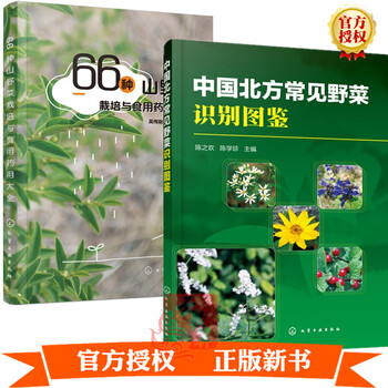 2册 中国北方常见野菜识别图鉴+66种山野菜栽培与食用药用大全 野菜栽培种植品种选择技术管理种子收集