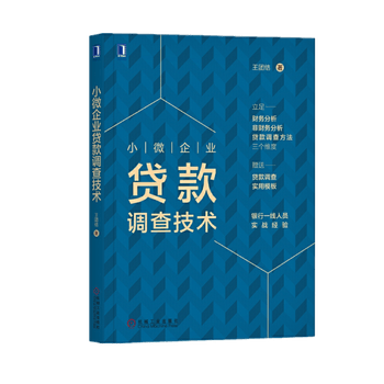   小微企业贷款调查技术    王团结   著    机械工业出版社