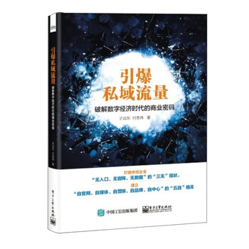 引爆私域流量：破解数字经济时代的商业密码