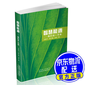 智慧能源：我们这一万年
