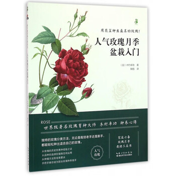 人气玫瑰月季盆栽入门